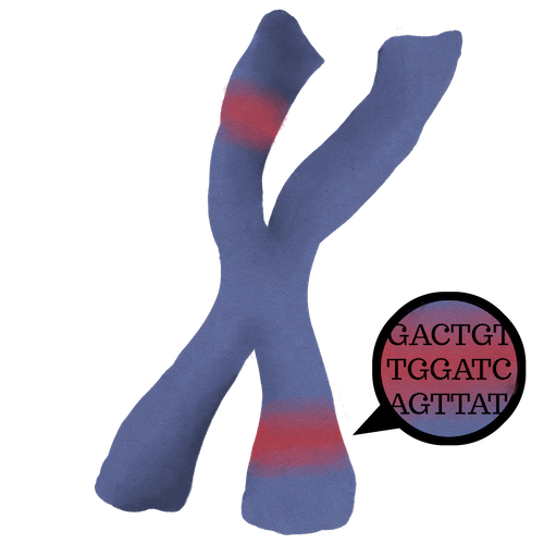 Gene Identification – COGA