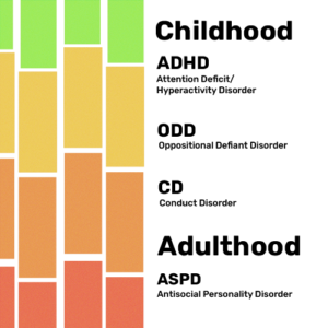 Externalizing and Alcohol Use Disorders – COGA